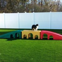 Saratoga Springs Boarding & Day Care: Milton Manor Pet Resort & Spa