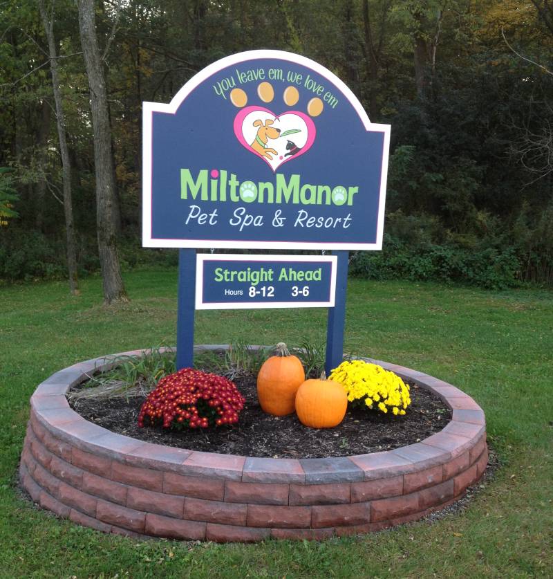 Milton Manor Pet Spa & Resort: Saratoga Dog Lovers Business Spotlight