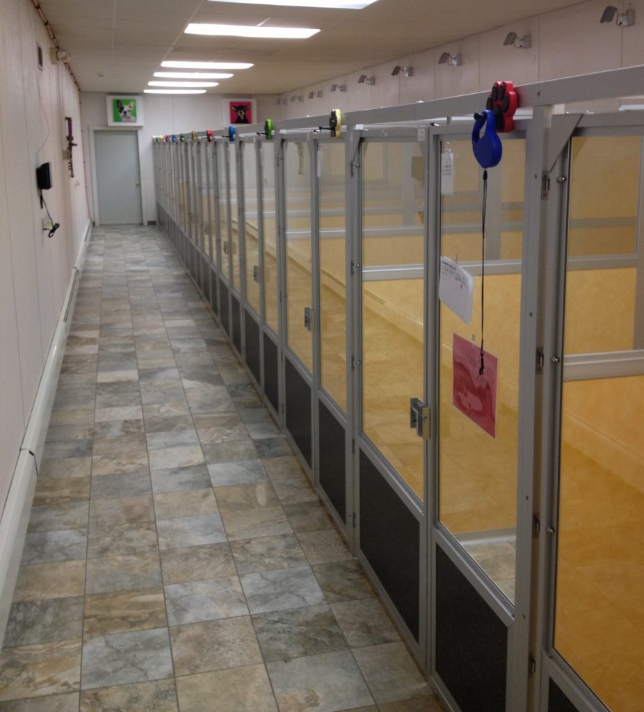 Milton Manor Pet Spa & Resort: Saratoga Dog Lovers Business Spotlight