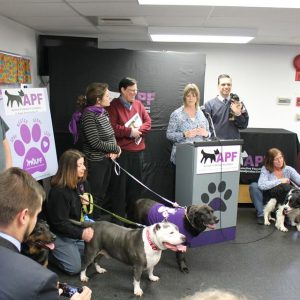 Animal Protective Foundation (APF)