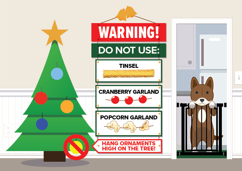 Pet Safety Tips For The Holidays