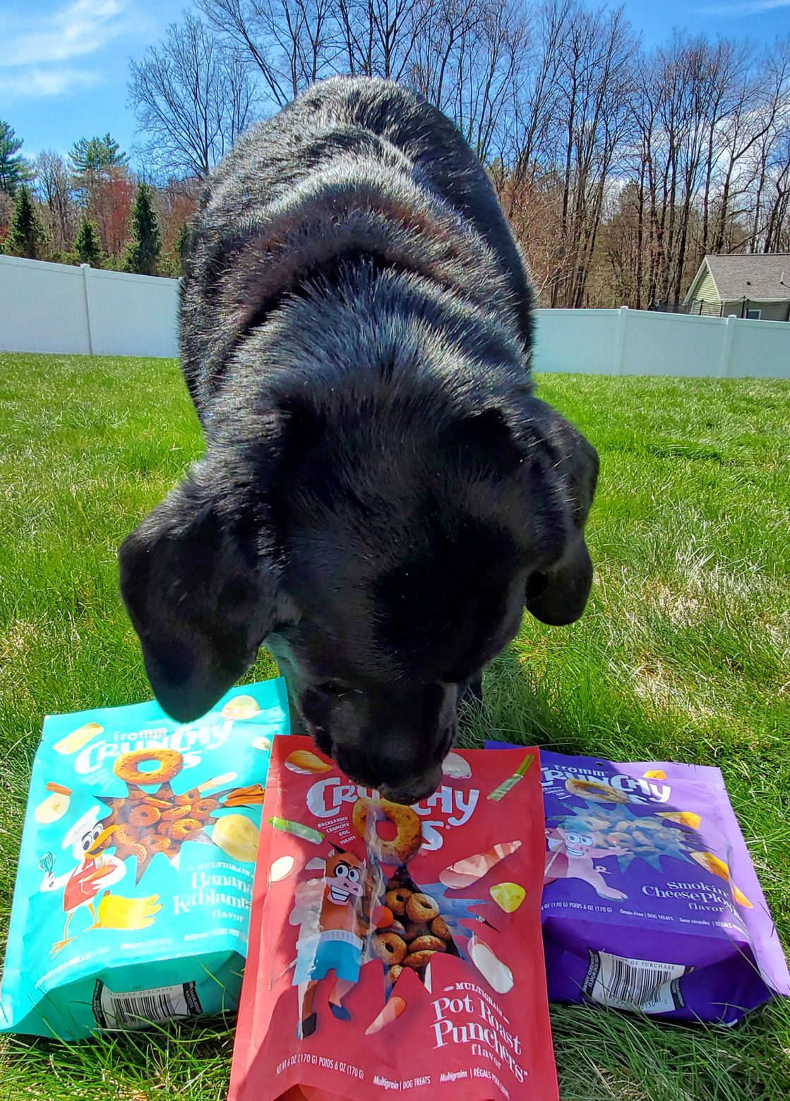 Fromm Crunchy Os Treats & Reasons Why We Love Them!