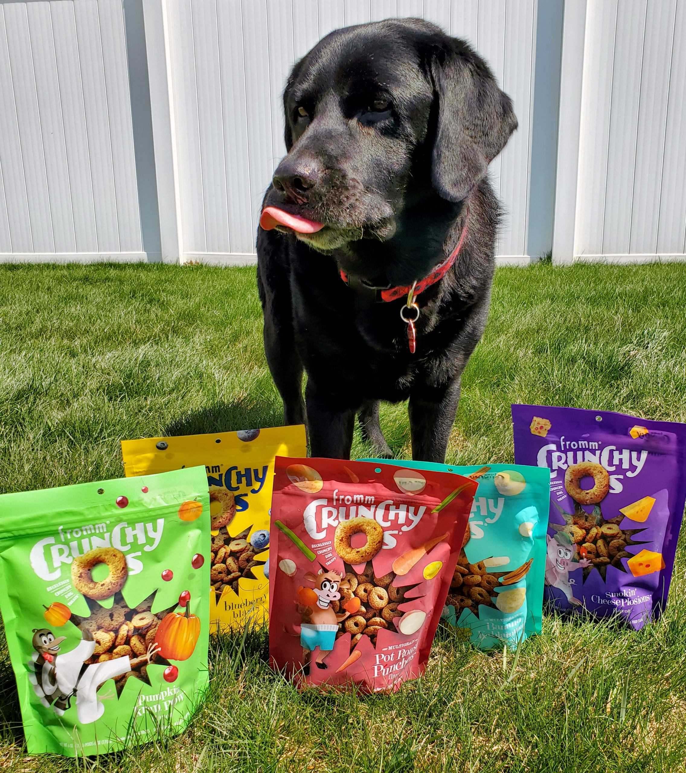 Fromm Crunchy Os Treats & Reasons Why We Love Them!